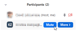 How do I manage audio and video for all Zoom Meeting participants?