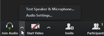 Why is my audio not working in Zoom meetings?