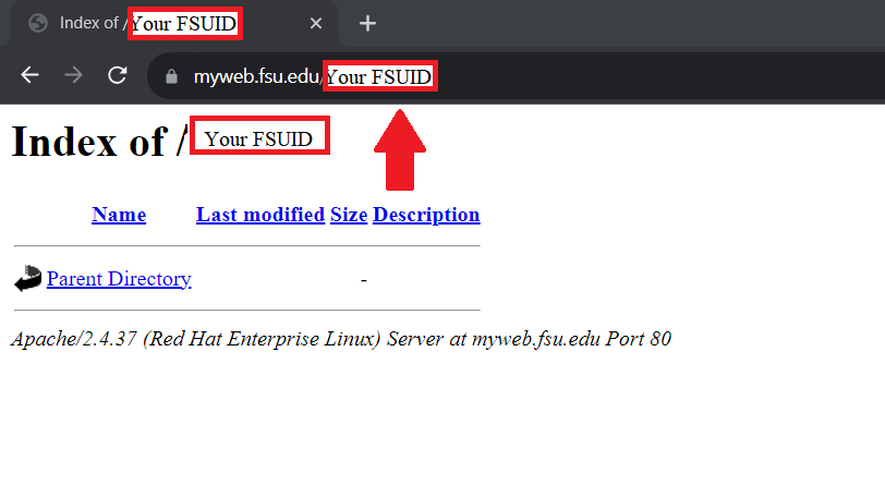How do I request an individual website space?
