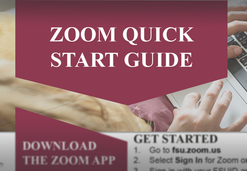 How do I start using FSU Zoom?